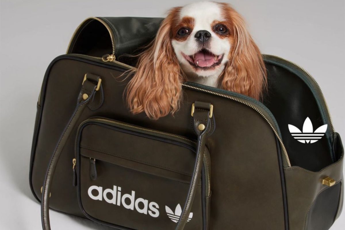 adidas Originals brengt een exclusieve collectie uit voor dieren ...
